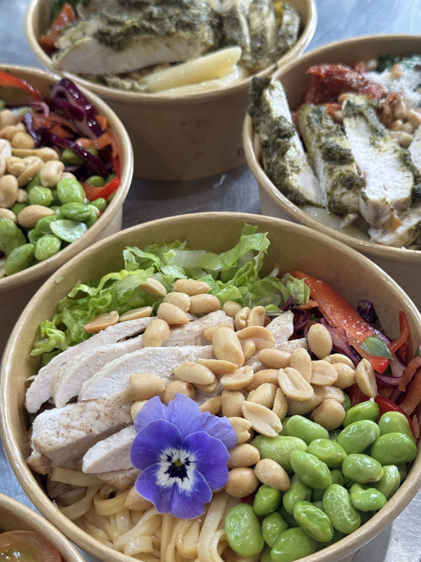 April Brochure Launch: Introducing Our New Street Food Bowls - Rachel's ...